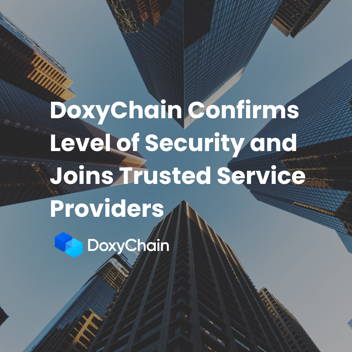 DoxyChain Confirms Level of Security and Joins Trusted Service Providers